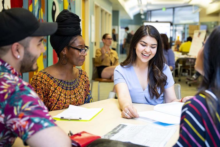 Community-Oriented Public Health Practice Master of Public Health ...