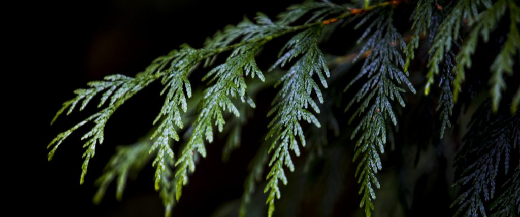 MHA Professional Development - Health Systems and Population Health