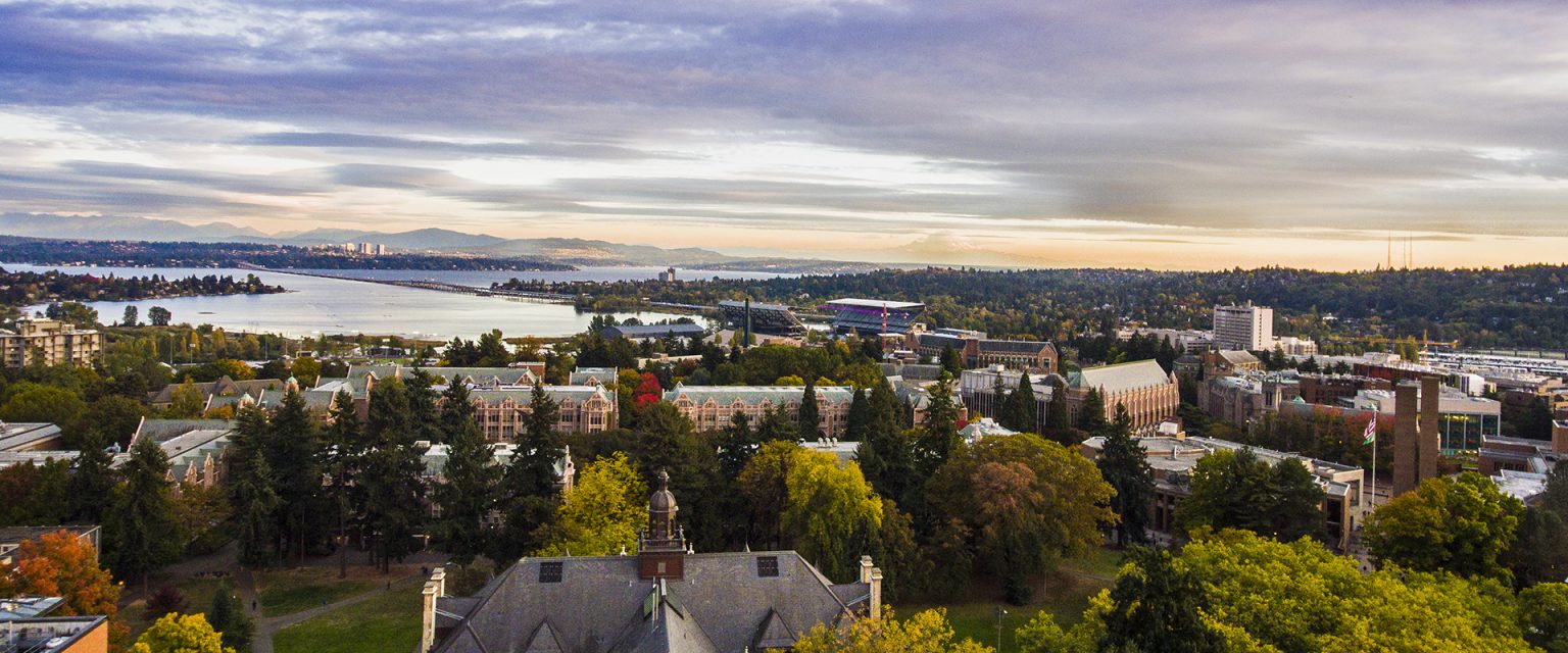 Meet the MHA Team - Health Systems and Population Health