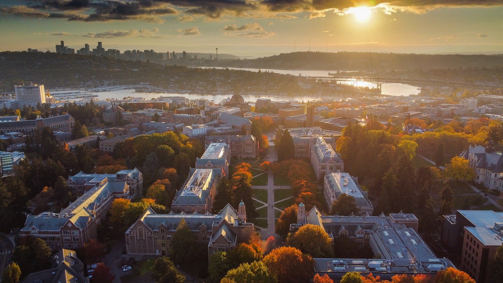 Two options: The UW MHA and the UW Executive MHA